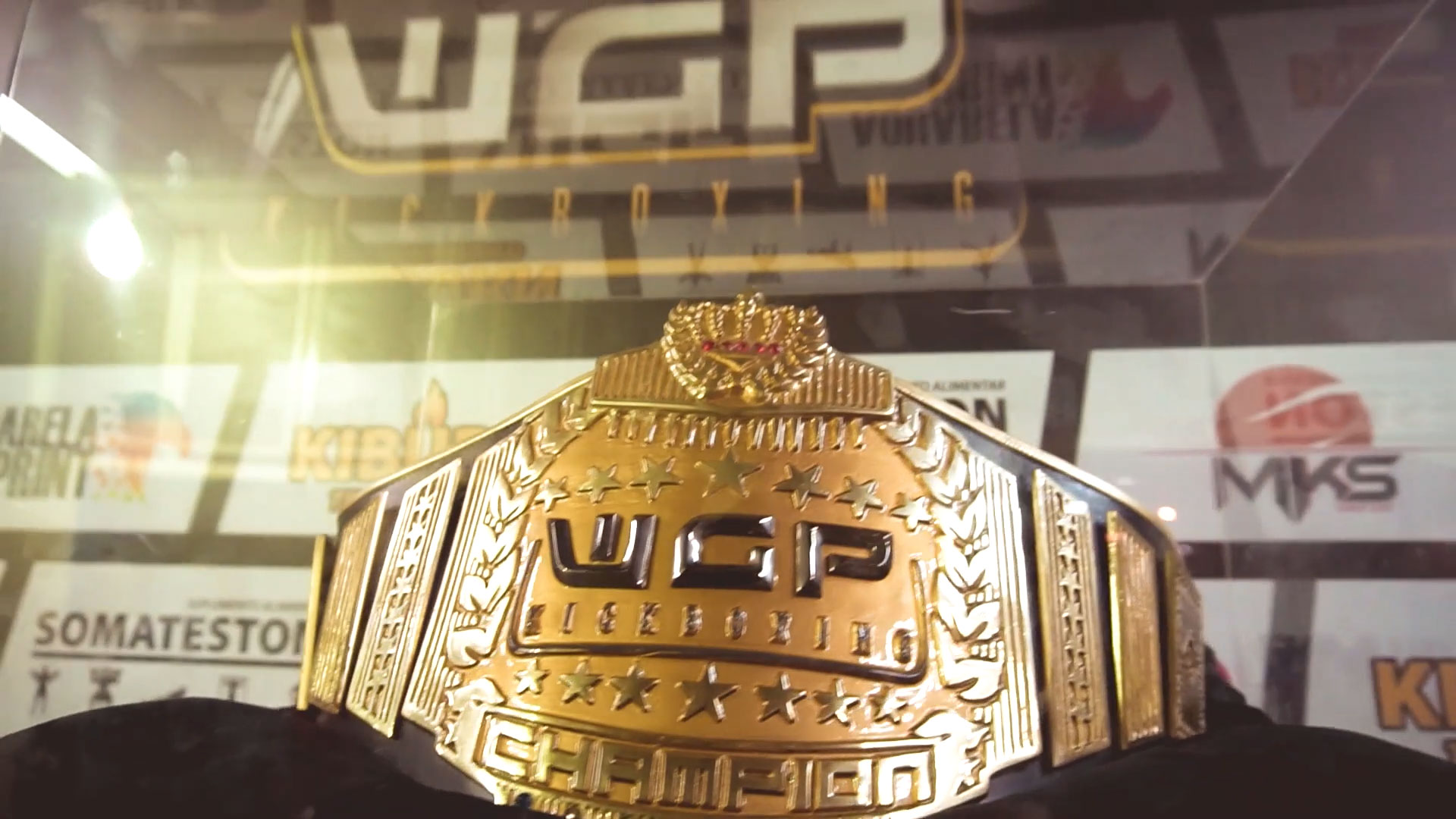 WGP - Vídeo Apresentação - Edu Santana Photo Agência